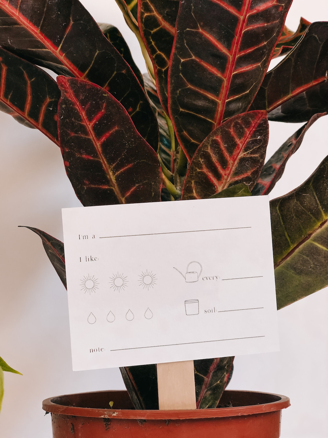 set-of-8-plant-care-tags-plant-care-cards-with-wooden-sticks-etsy
