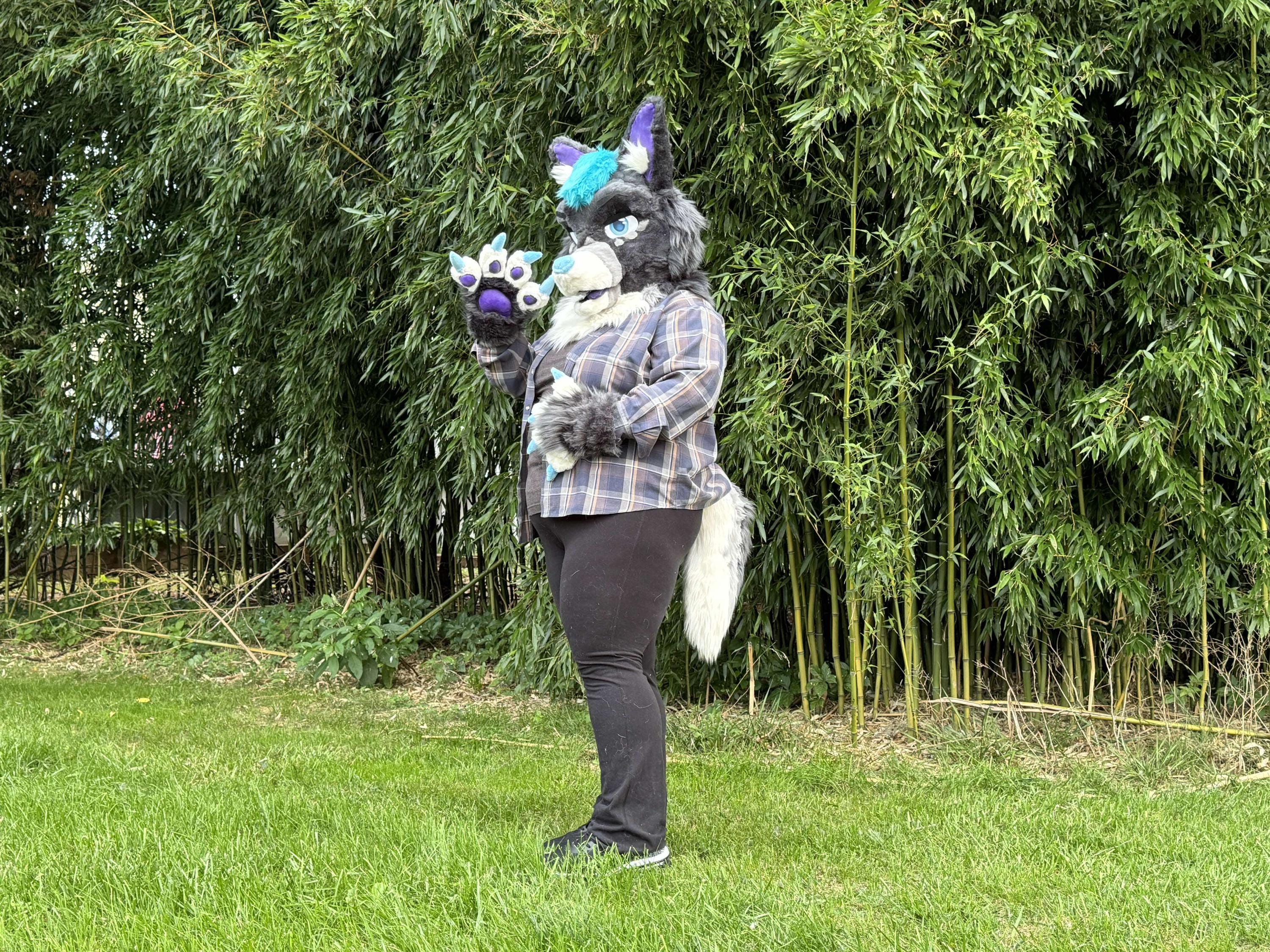 MQ Wolf MINI PARTIAL Fursuit - Etsy