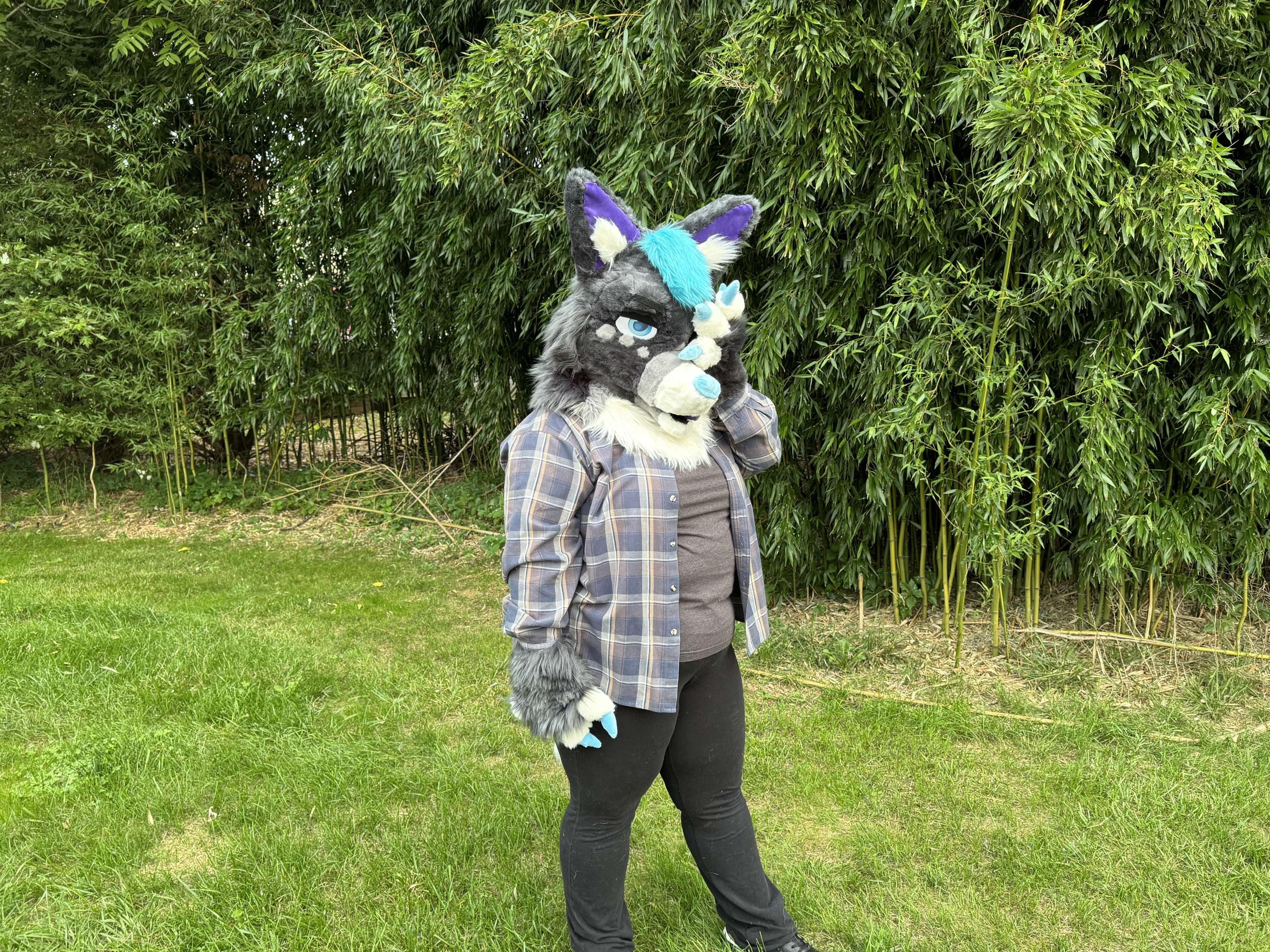 MQ Wolf MINI PARTIAL Fursuit - Etsy