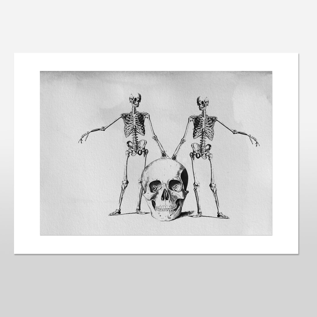 Printable Skeleton / Skull Digital Print A4 Vintage Anatomical Gothic ...
