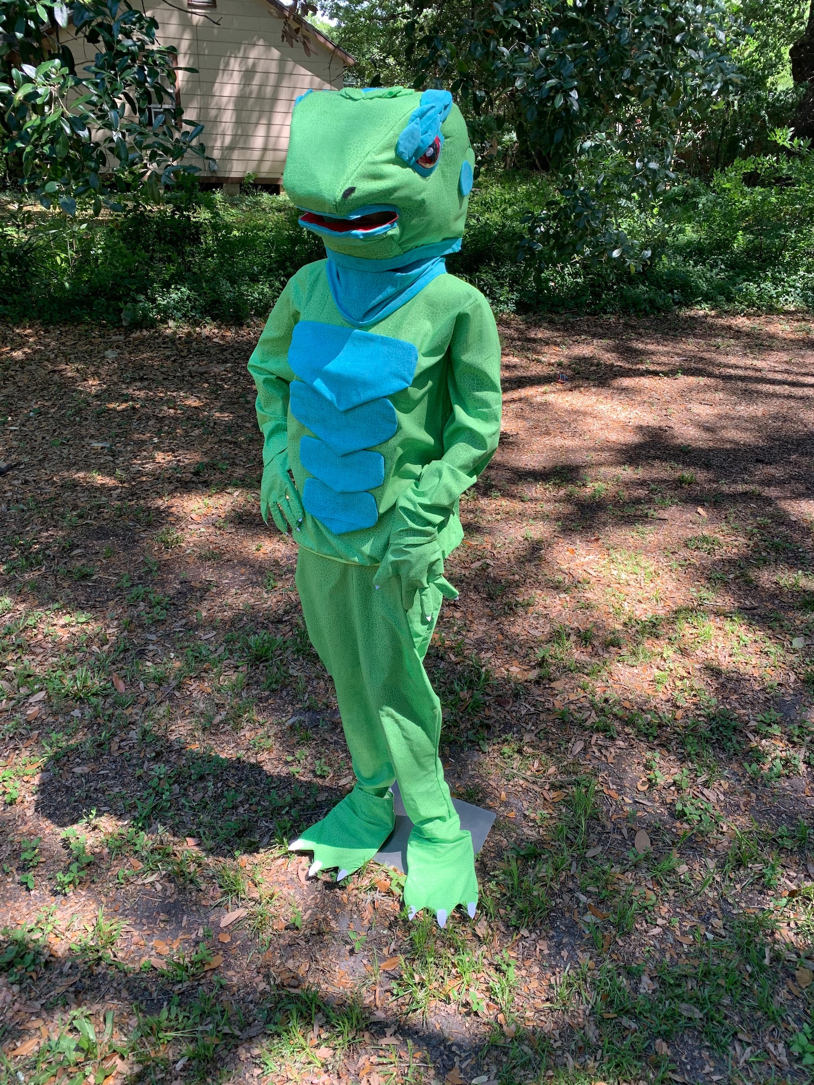 Lizard Costume Reptile Costume Adult Halloween Costume Kids | Etsy