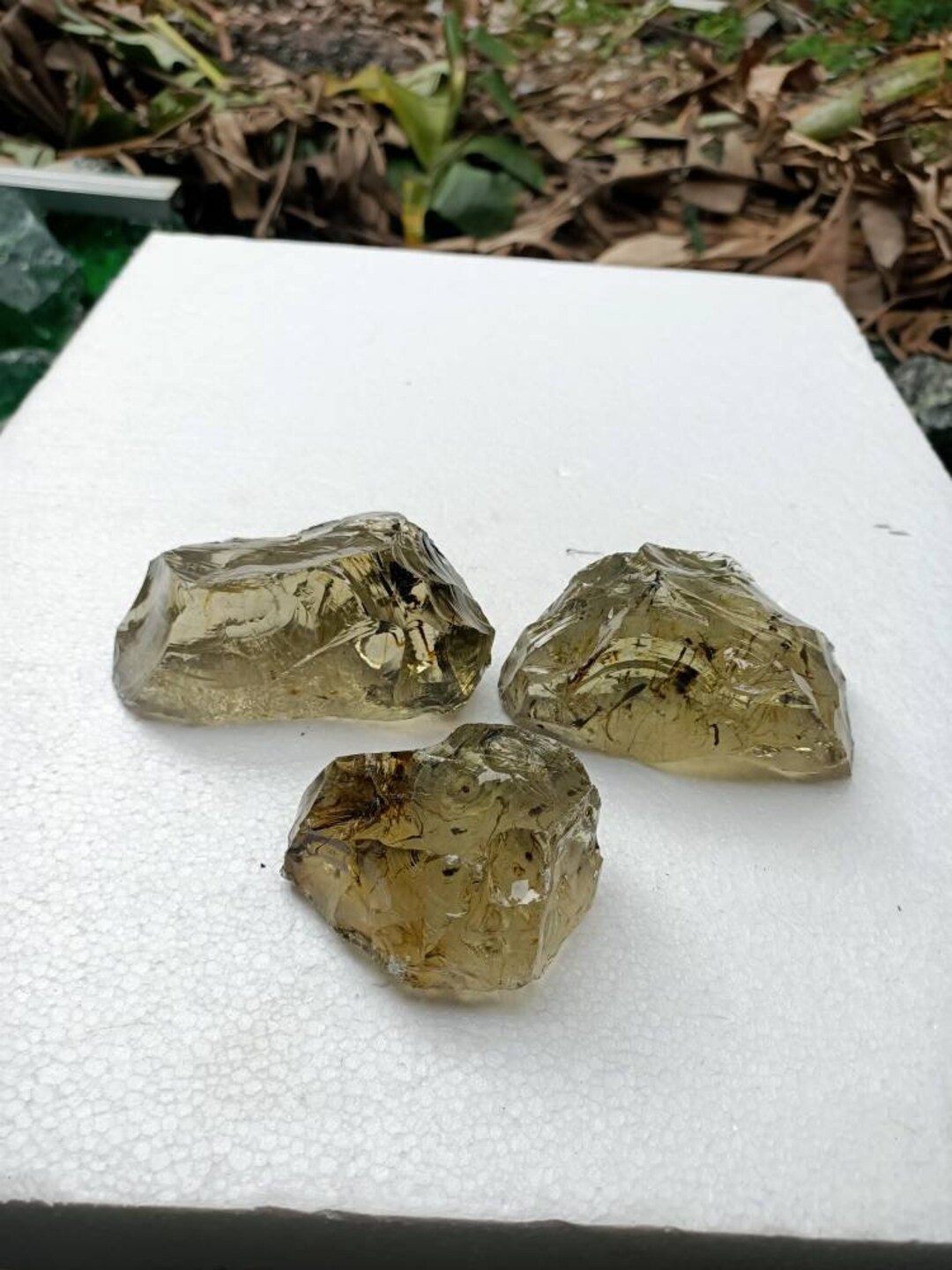 New!! 1.1kg(53b)3pcs "special Newcomer Brown Yellow Underwater Views ...