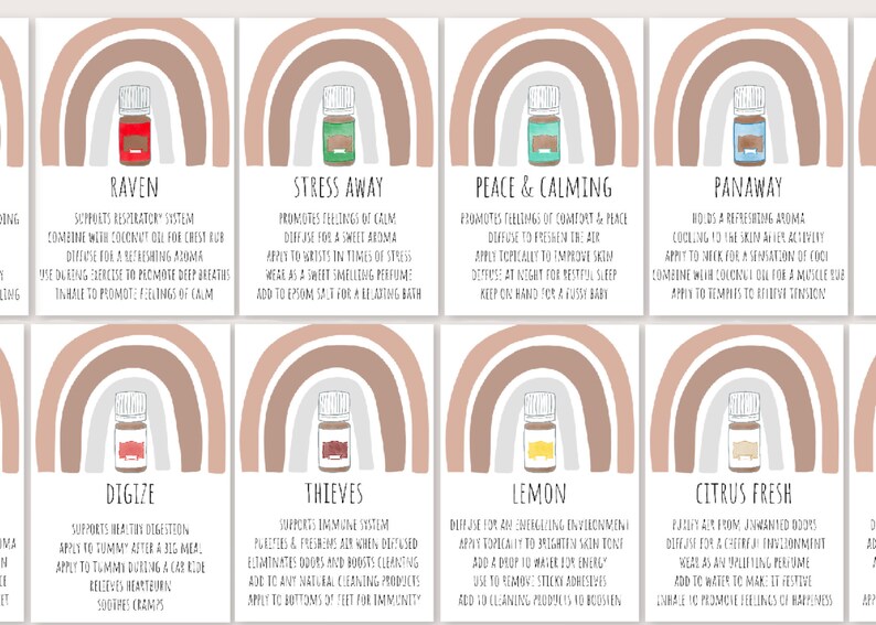 Premium Starter Kit Info Graphics. Young Living Essential Oils ...