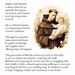 Unfailing Prayer to St. Anthony Printable, St. Anthony of Padua Prayer ...