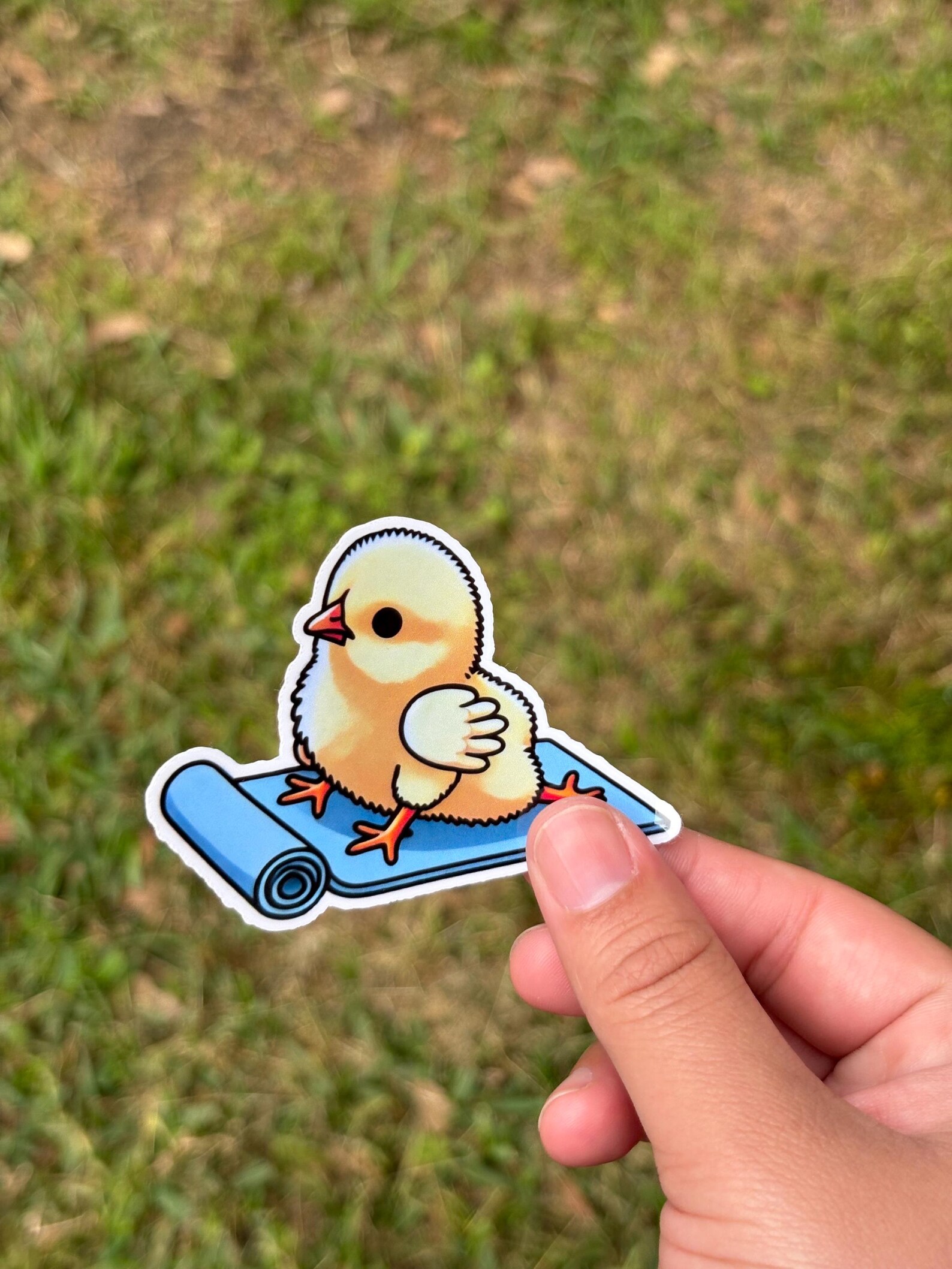 Yoga Animals Stickers, Cute Laptop Decals (3 Inch) - Etsy