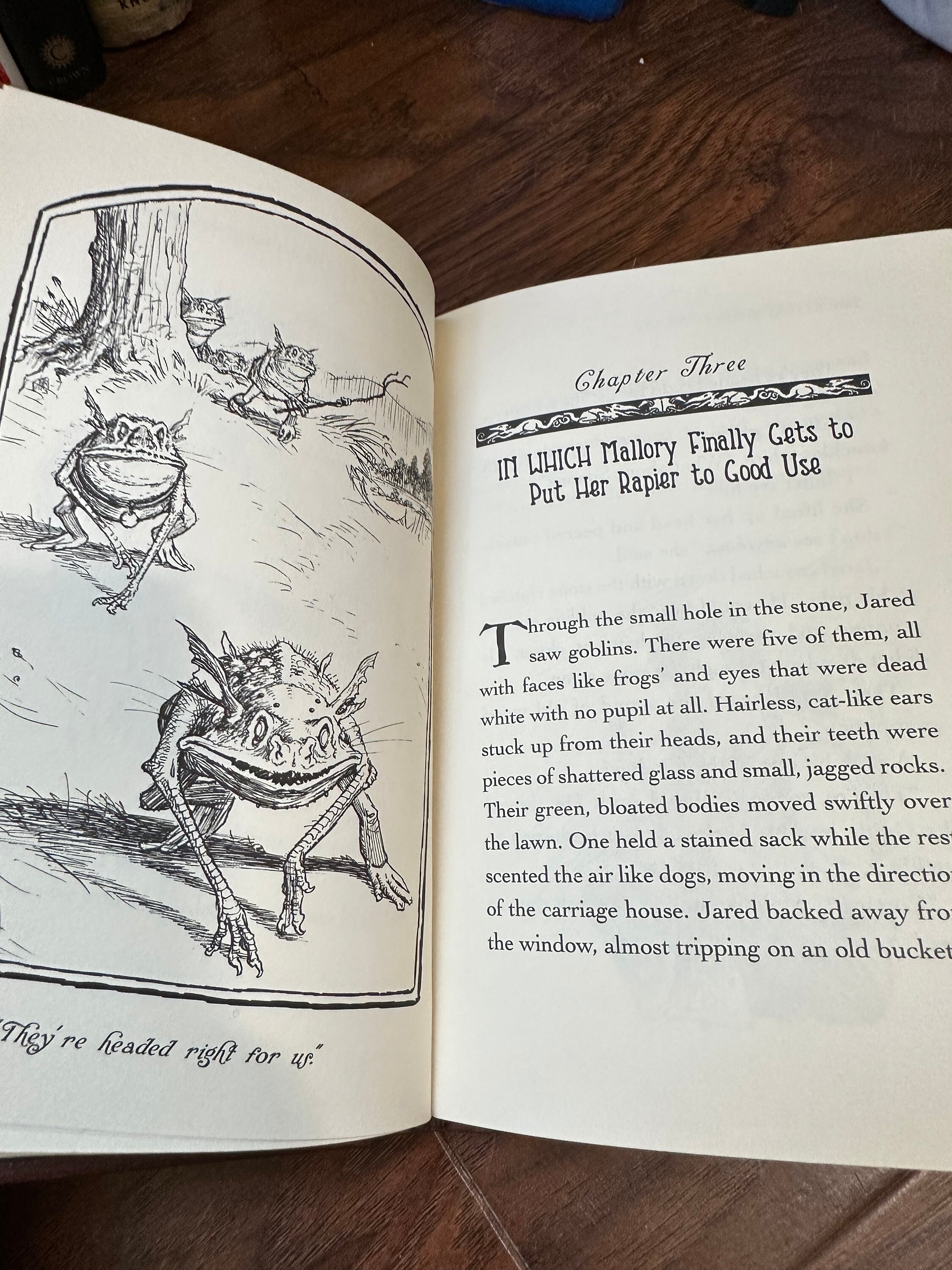 The Spiderwick Chronicles Book - Etsy