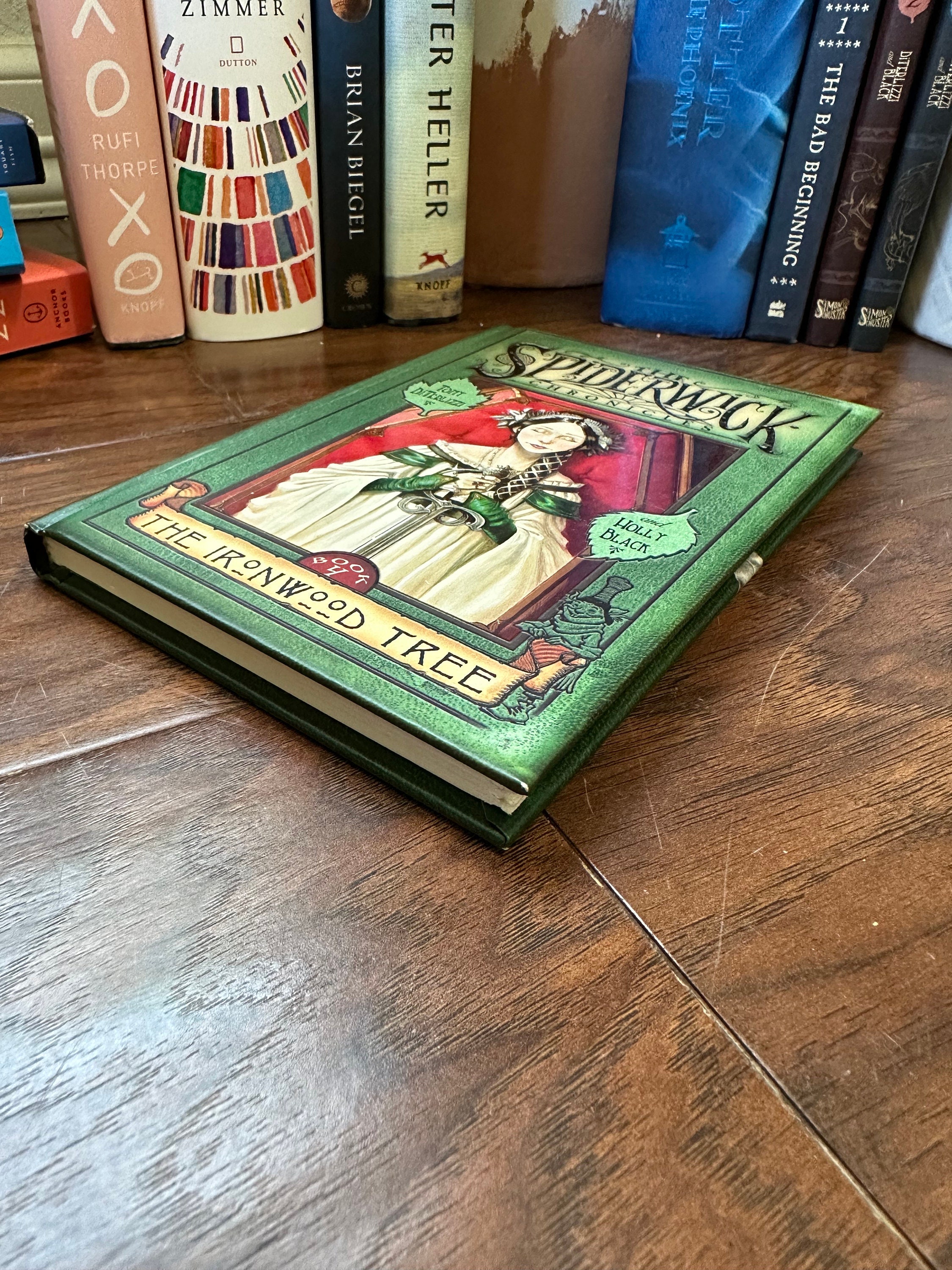 The Spiderwick Chronicles Book - Etsy