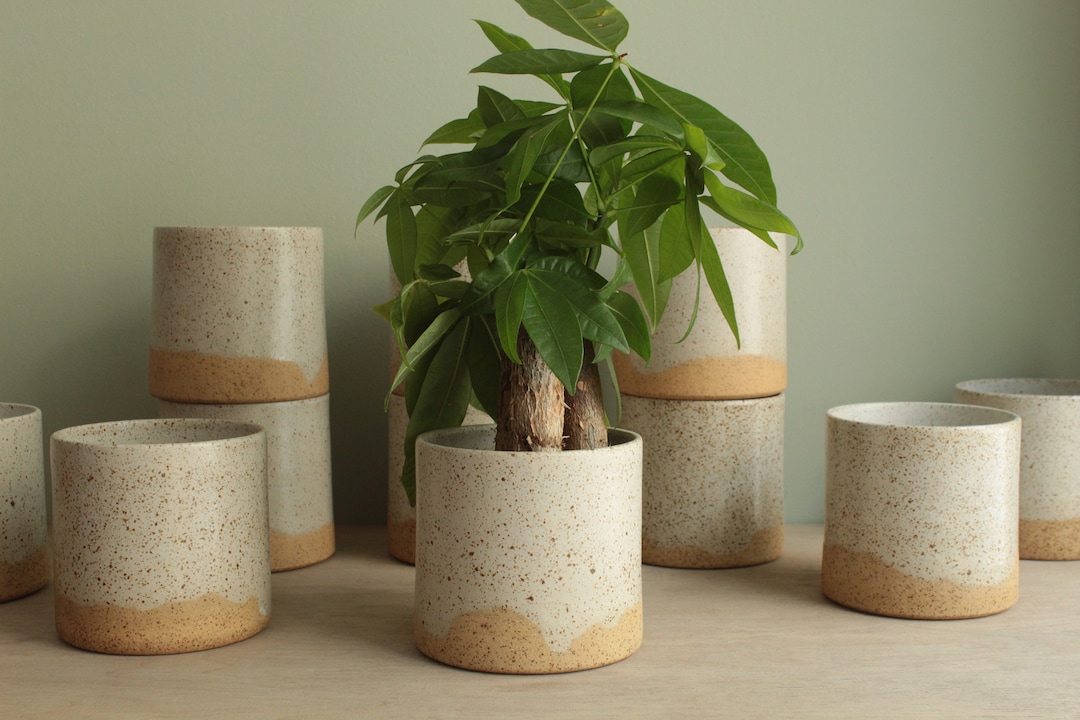 Ceramic Indoor Planter, Small White Speckled Planter, Handmade Ceramic ...