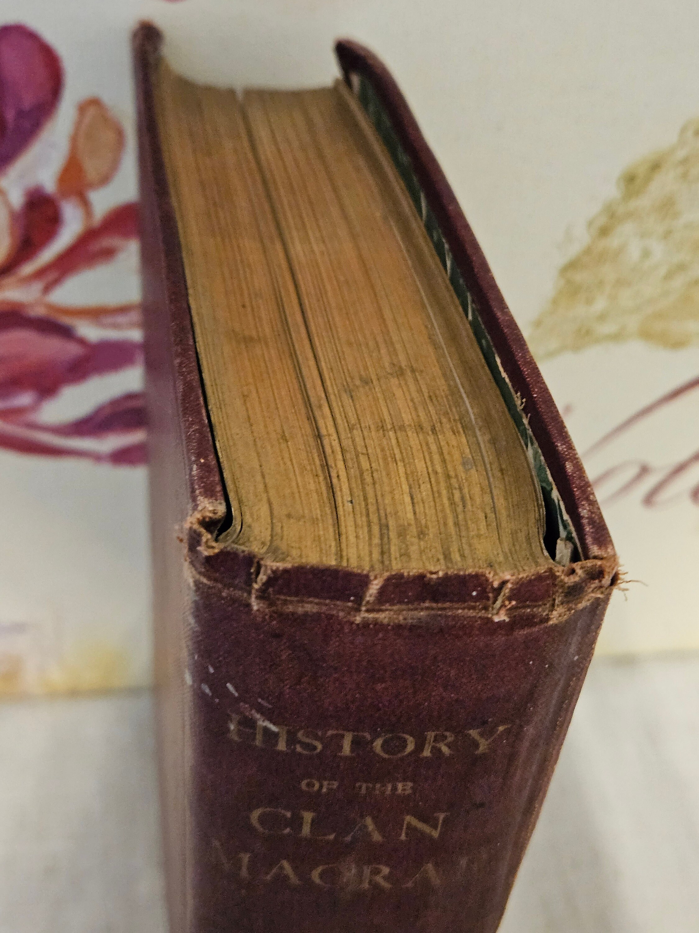 RARE History of the Clan Macrae With Genealogies the Rev. - Etsy