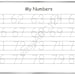 Printable 0-100 My Numbers Tracing Page | Includes Bonus Practice Page ...