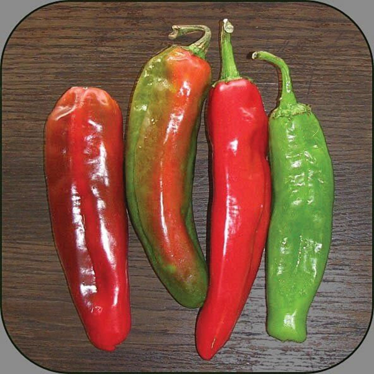 Heirloom Anaheim Hatch Chili Pepper Seeds Hand Selected - Etsy