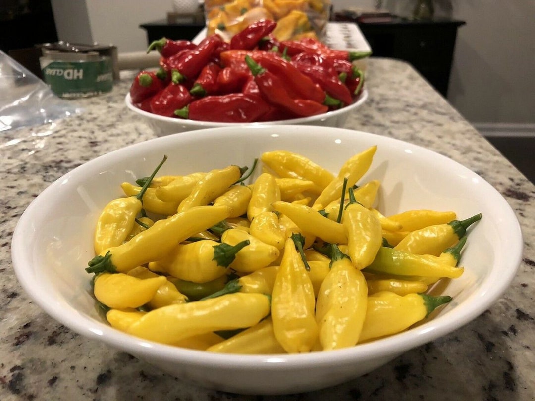 Heirloom Lemon Drop Chile Seeds Organically Grown - Etsy
