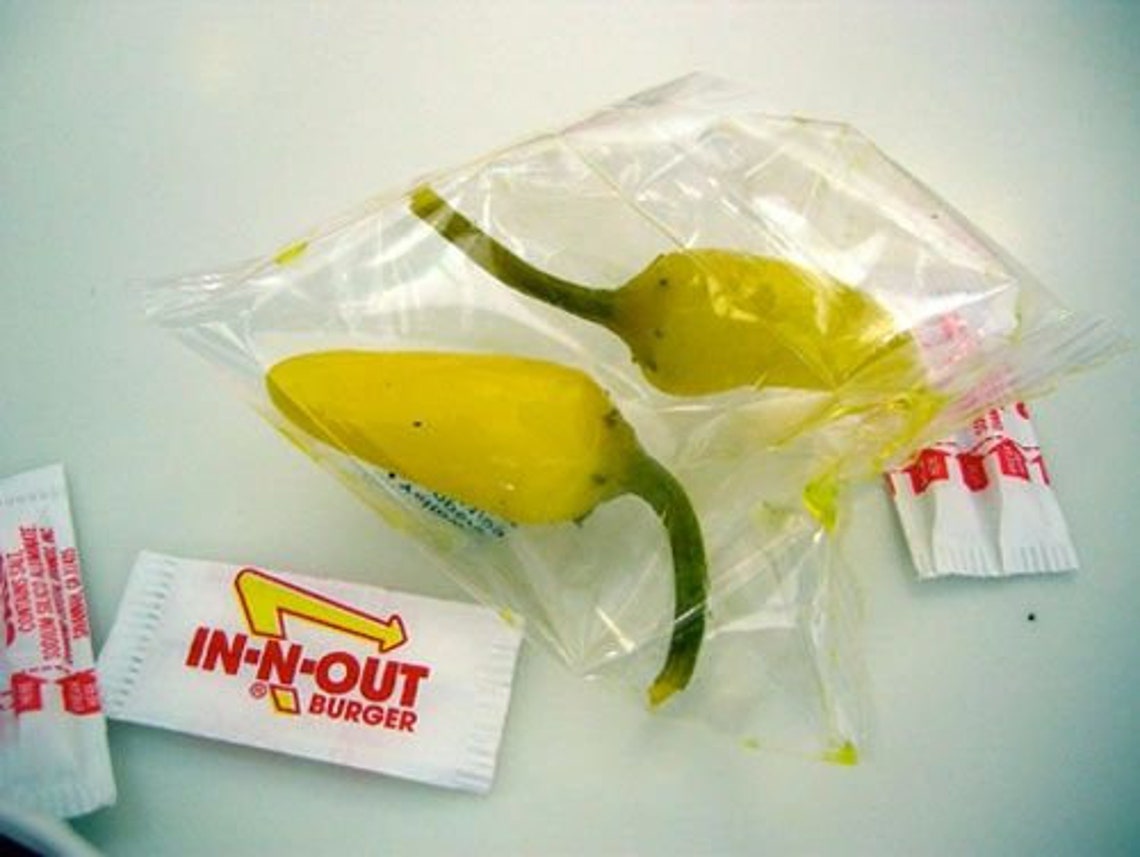 Cascabella Pepper Seeds to Grow in N Out Burger Peppers Fast Shipping ...