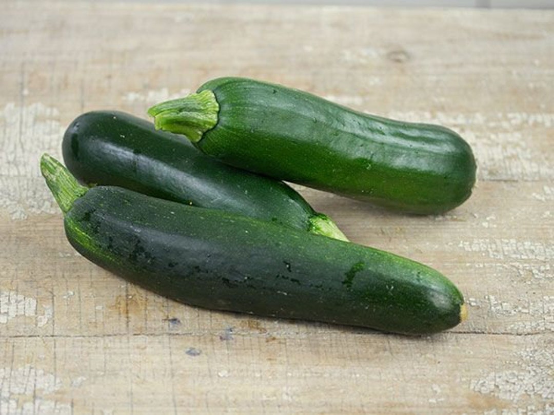 20 Awesome Heirloom Fordhook Zucchini Summer Squash Seeds From Florida ...