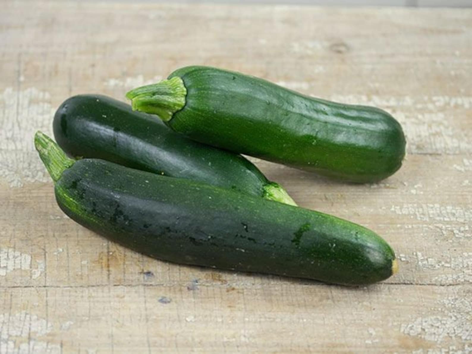 20 Awesome Heirloom Fordhook Zucchini Summer Squash Seeds From - Etsy
