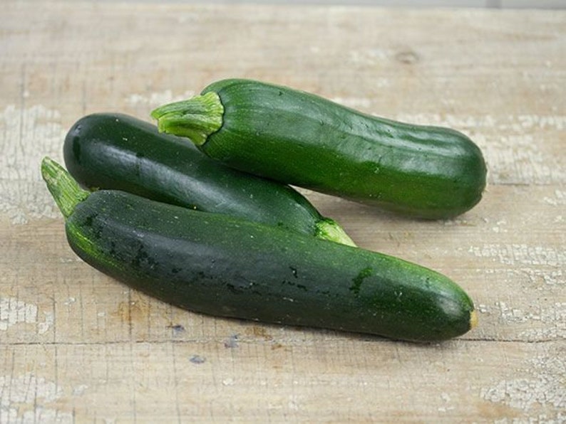 20 Awesome Heirloom Fordhook Zucchini Summer Squash Seeds From - Etsy