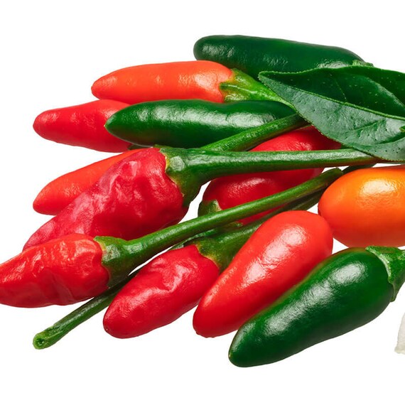 Heirloom Hot Pequin Pepper Seeds Shipped From Tennessee - Etsy