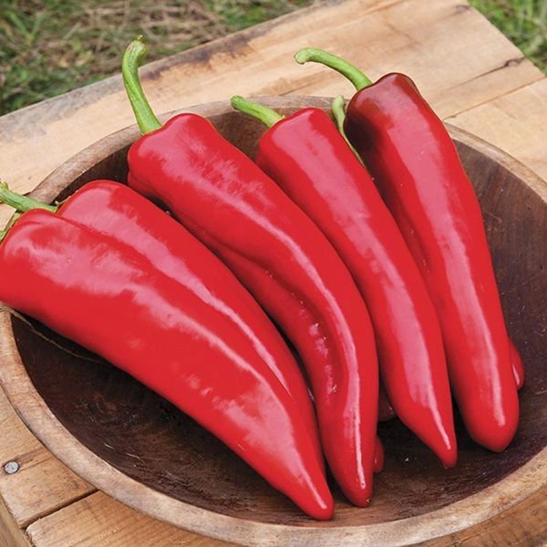 Heirloom Anaheim Hatch Chili Pepper Seeds Hand Selected - Etsy