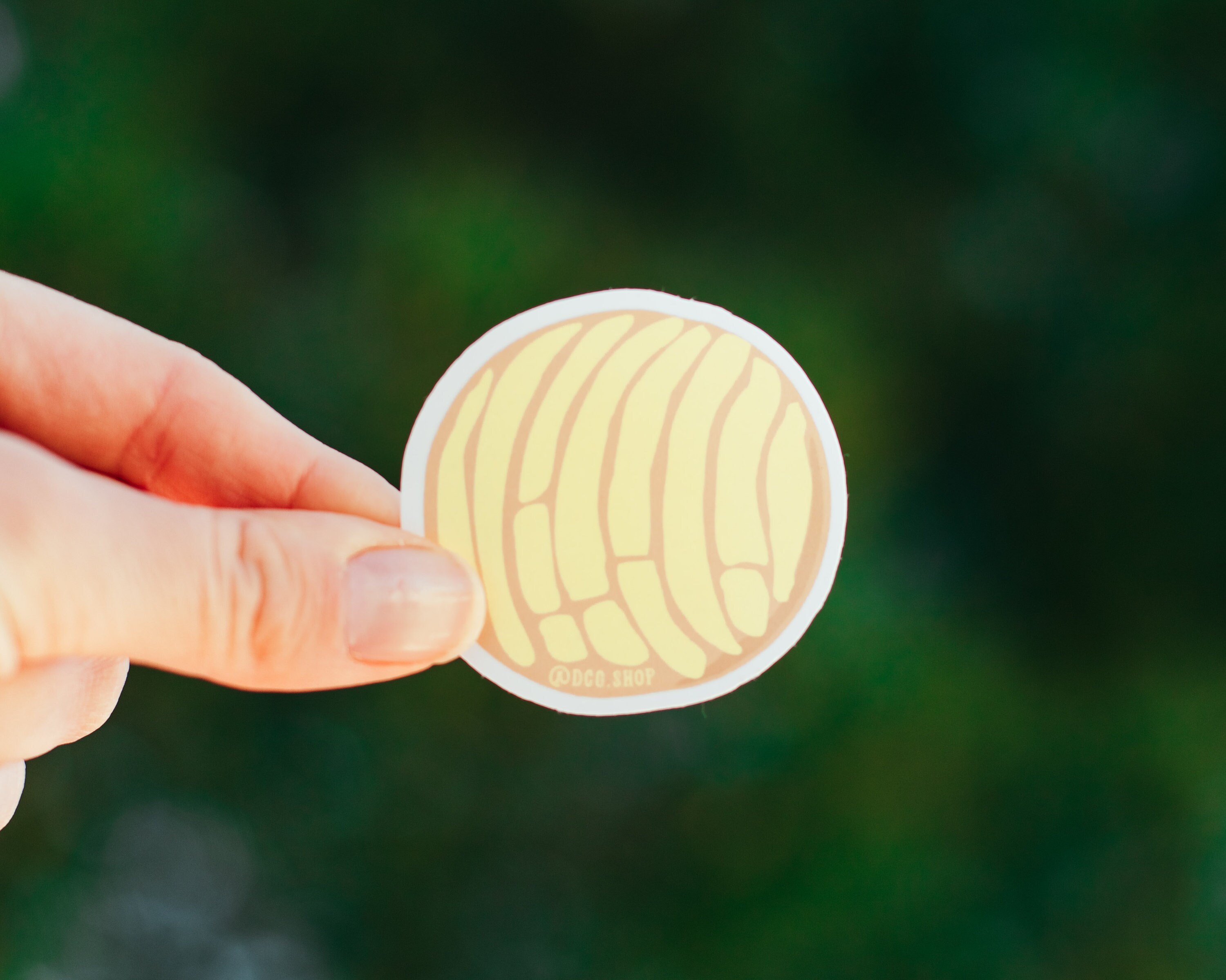 Pan Dulce Sticker Concha Sticker Marranito Sticker Water | Etsy