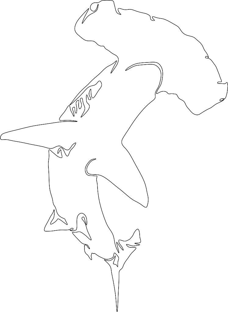 Hammerhead Sharks Mini Tats One Line Drawing Art Minimalist Sketch Png ...