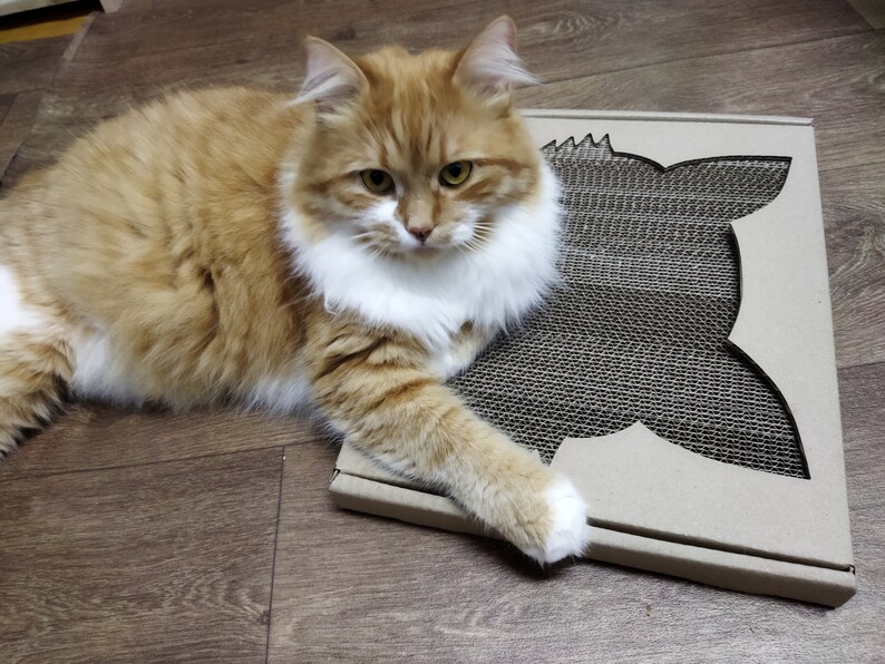 Templates DIY Catbox Scratching Post Toy Pet Cardboard - Etsy