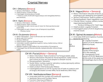 Cranial Nerves Study Guide Nursing Student Study Guide Neuro Study ...