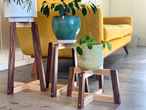 Accented Walnut/maple Hardwood Plant Stands | Etsy
