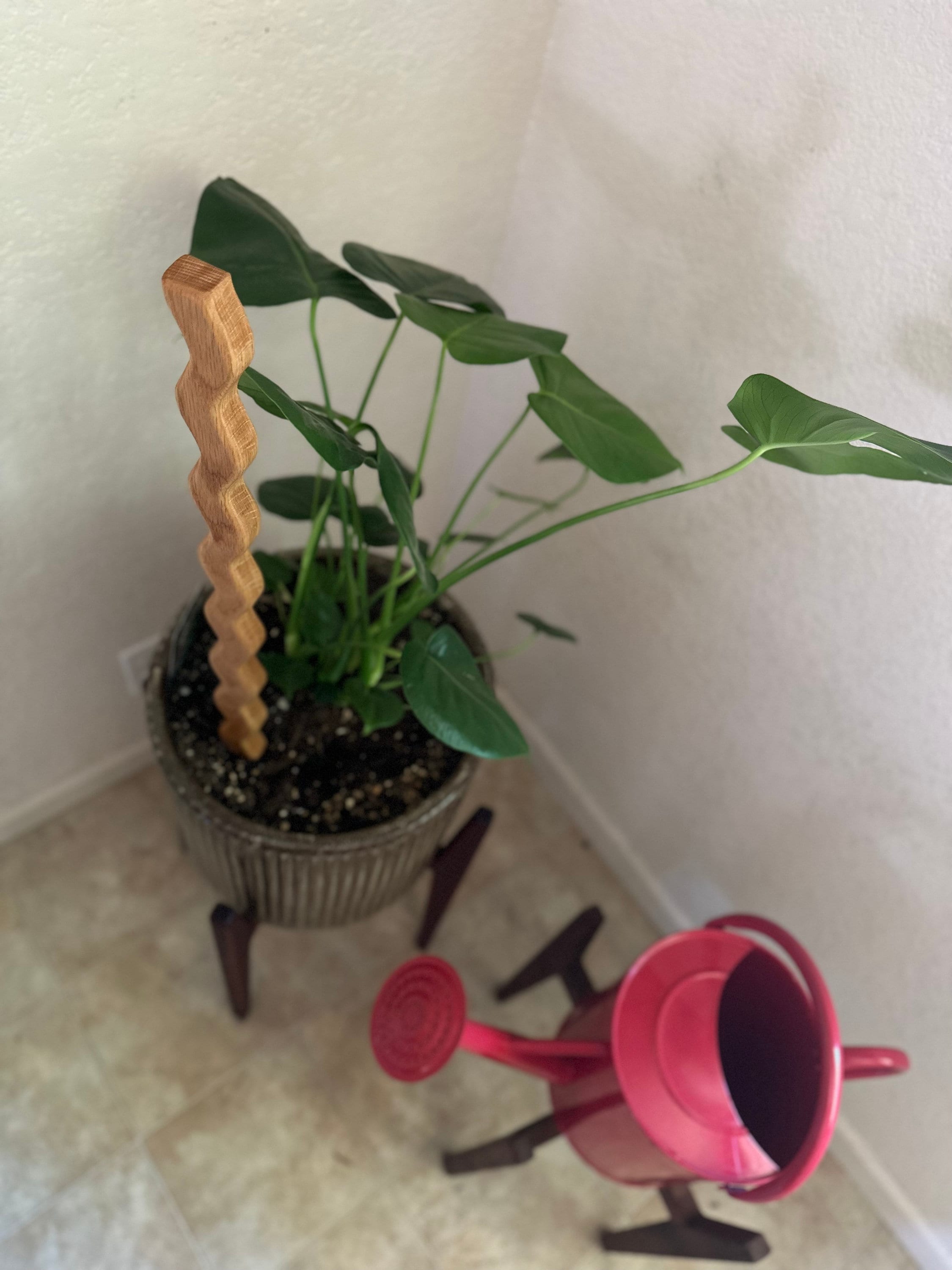 Wavy Oak Plant Stick: Unique Plant Support, Home Decor - Etsy