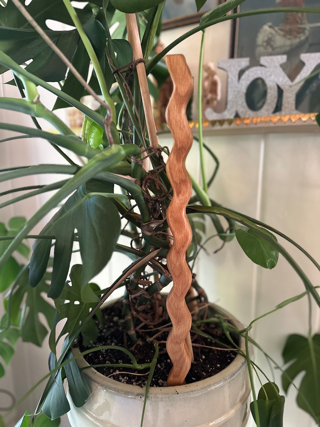 Plant Stick | Plant Stake for House Plants | Plant Accessories | Unique ...