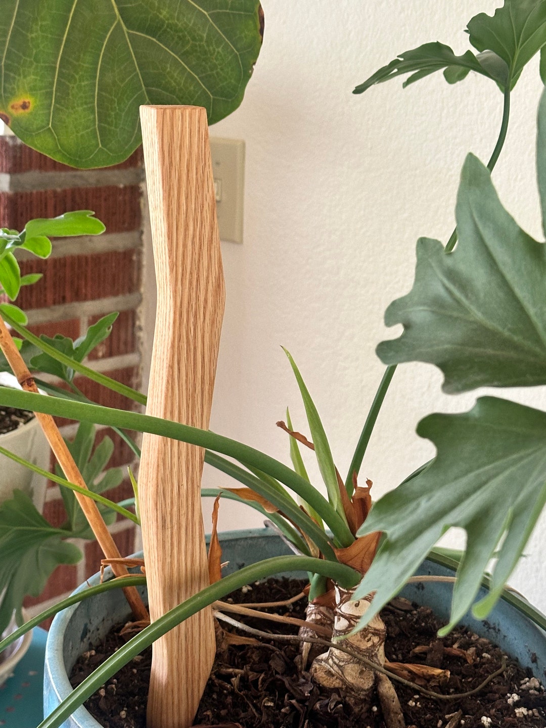 Plant Stick | Plant Stake for House Plants | Plant Accessories | Zig ...