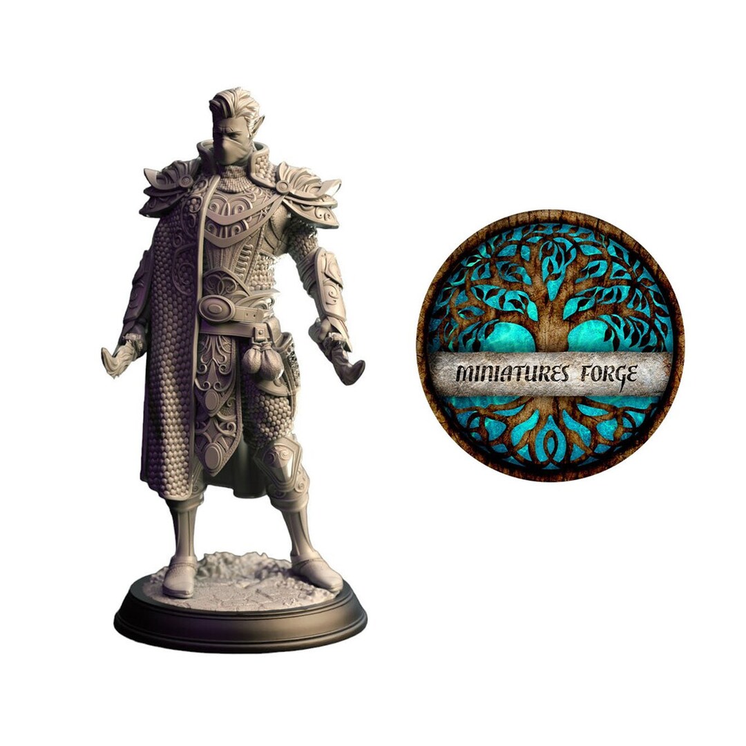 Elf Rogue Miniature Assassin Erestian Dms Dungeons and Dragons Mini - Etsy