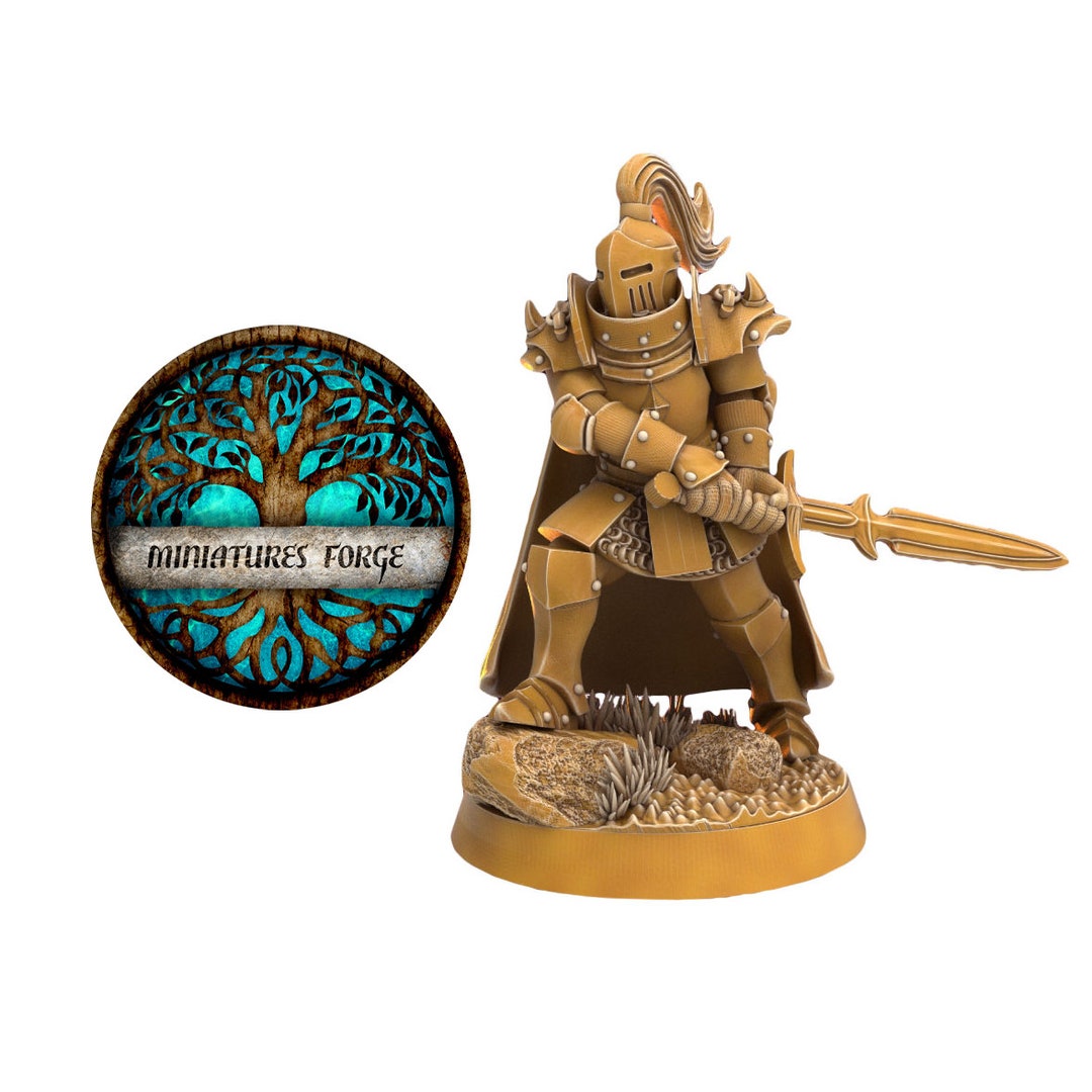 Dfm Human Cleric Miniature Dungeons and Dragons Mini Cleric Paladin ...