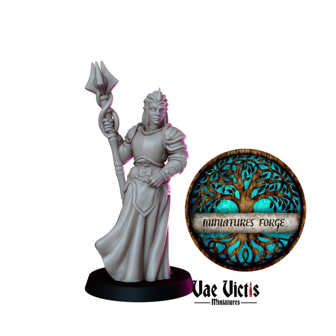 Vv High Elf Cleric Dungeons and Dragons Mini Cleric Paladin Warrior - Etsy