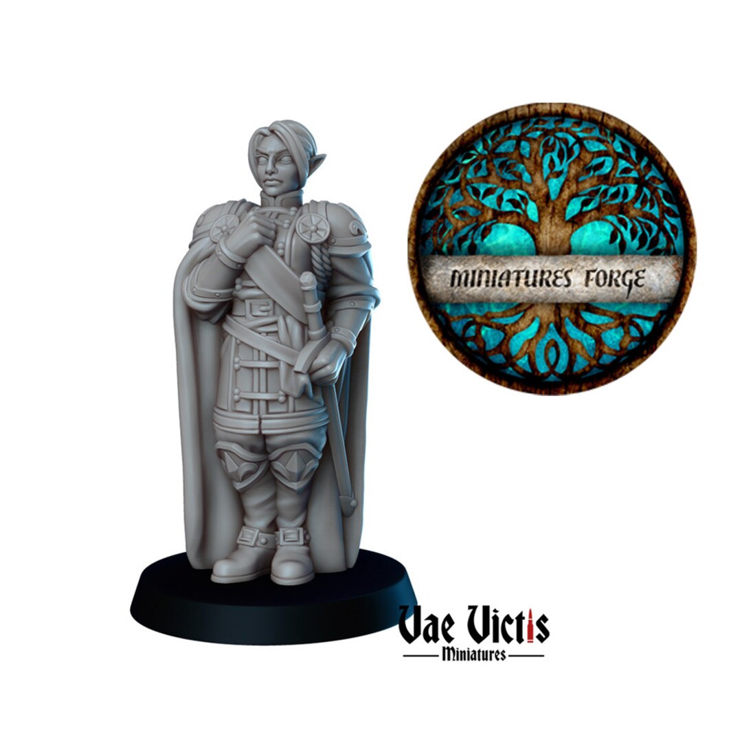 Vv Elf General Miniature Dungeons and Dragons Mini - Etsy