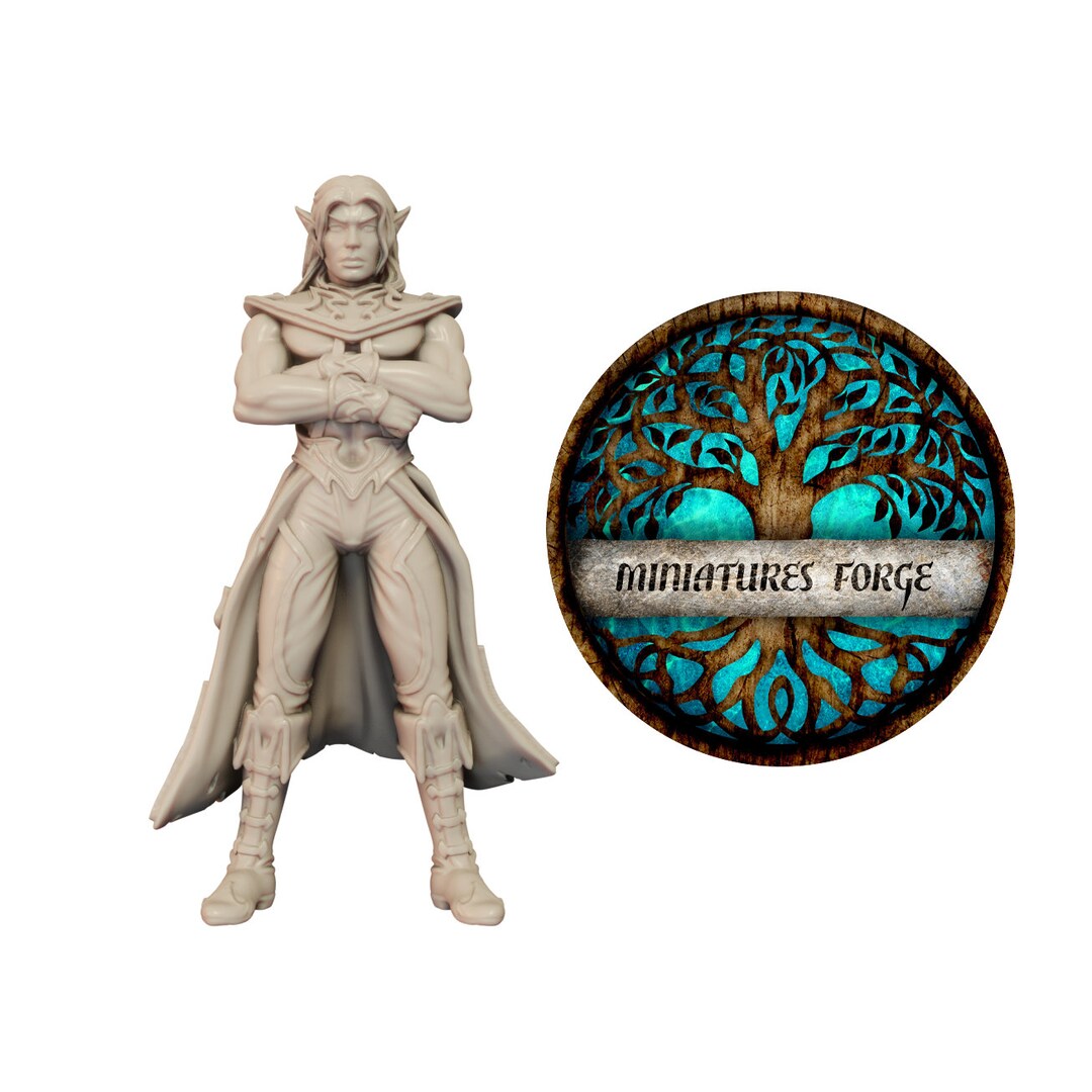 Lm Dark Elf Servant 3 Miniature Dungeons and Dragons Mini Rpg - Etsy