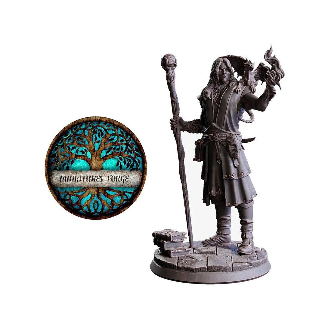 Elf Wizard Miniature Tallandir Fog Flesh of Gods Dungeons and Dragons ...