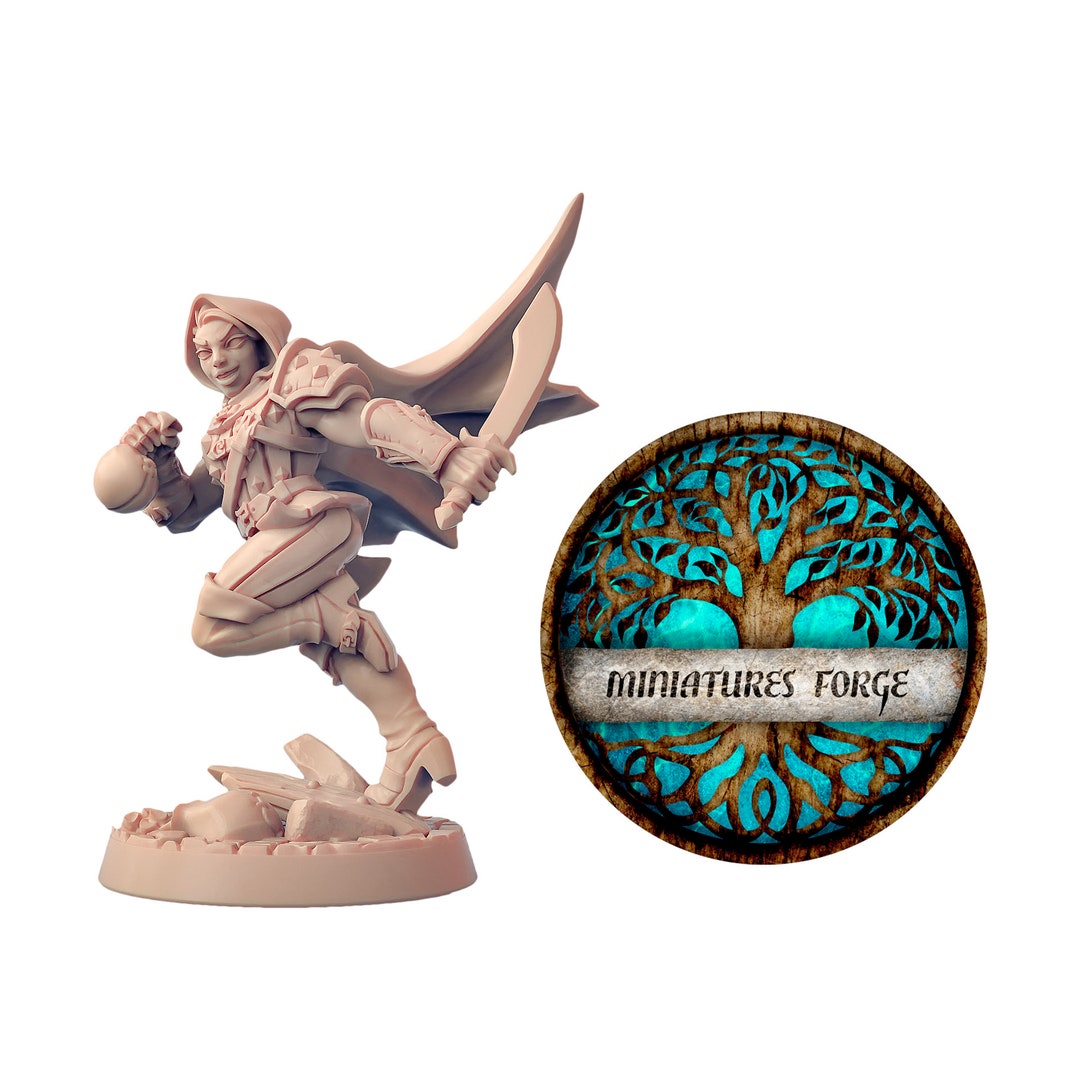 Ag Female Thief Miniature Hooded With Loot Human Dungeons and Dragons ...