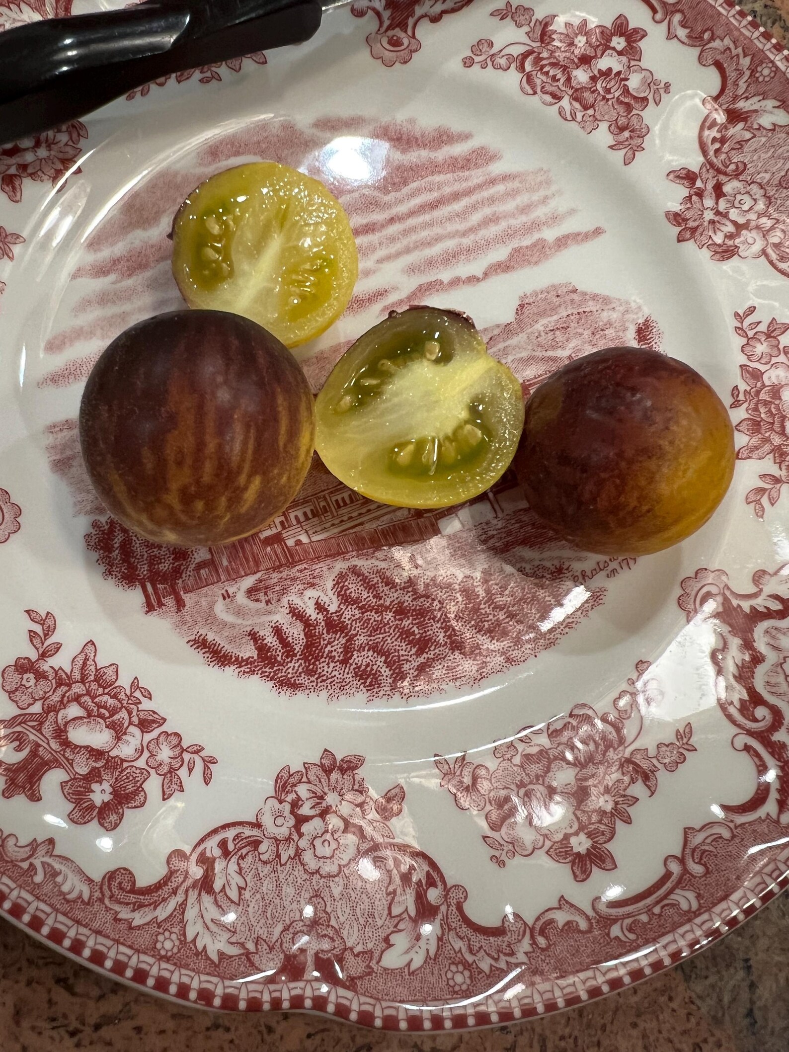 Wooly Kate Yellow Tomato Seeds With Illustrated Sticker | Chronic Hope ...
