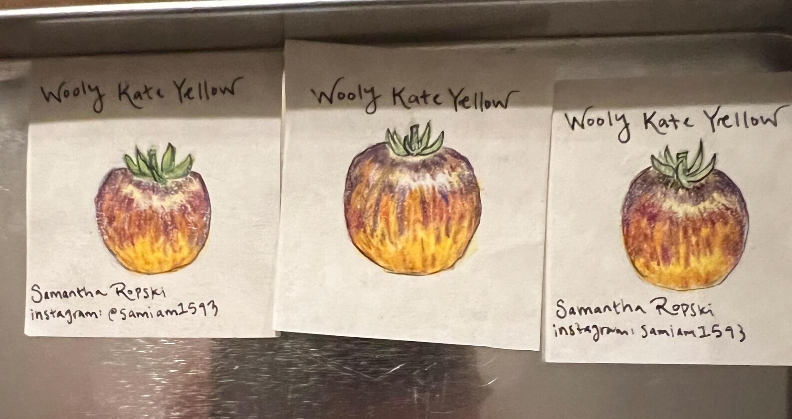 Wooly Kate Yellow Tomato Seeds With Illustrated Sticker--fuzzy, Unique ...