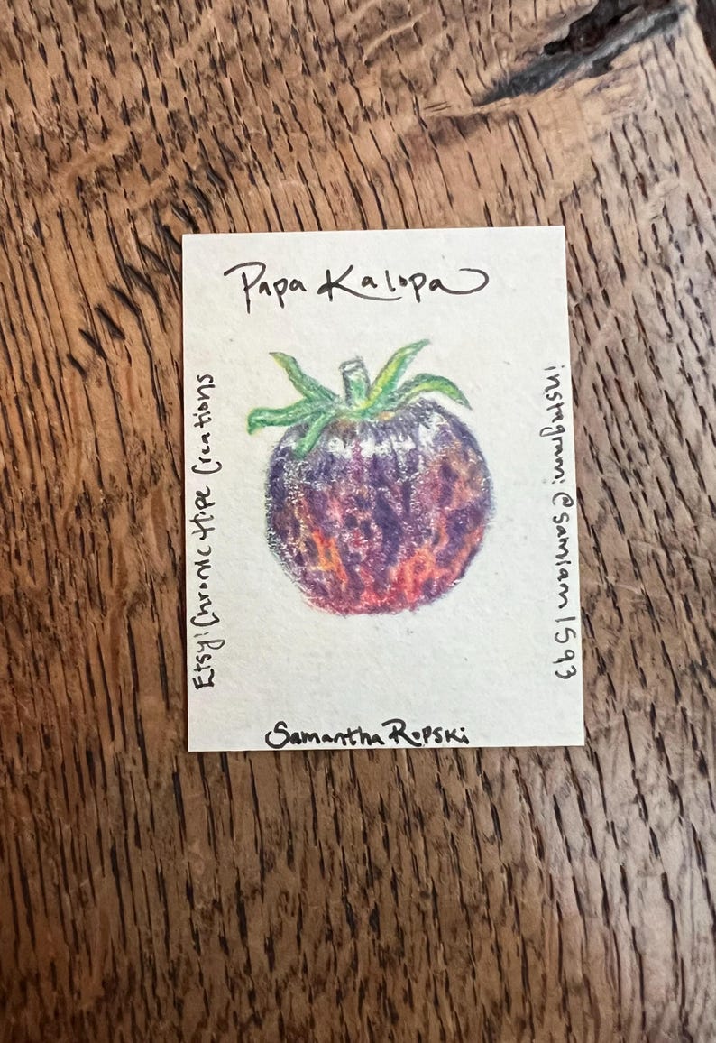 Papa Kalopa Tomato Seeds With Mini Illustration (rare Variety ...