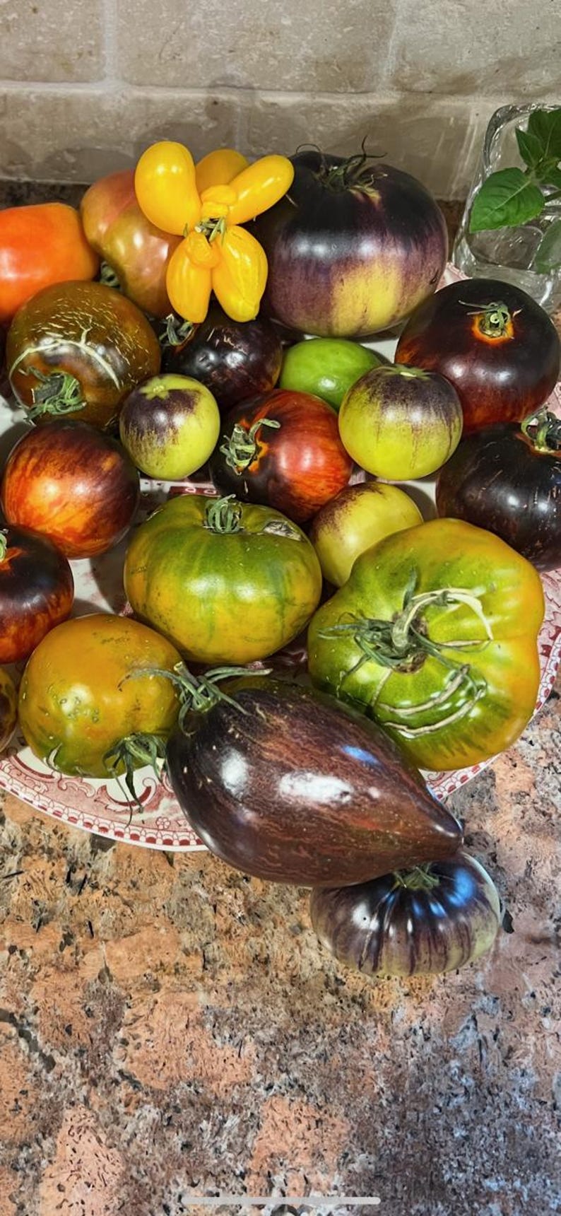 Ananas Noire/"black Pineapple" Tomato Seeds With Illustrated Sticker ...