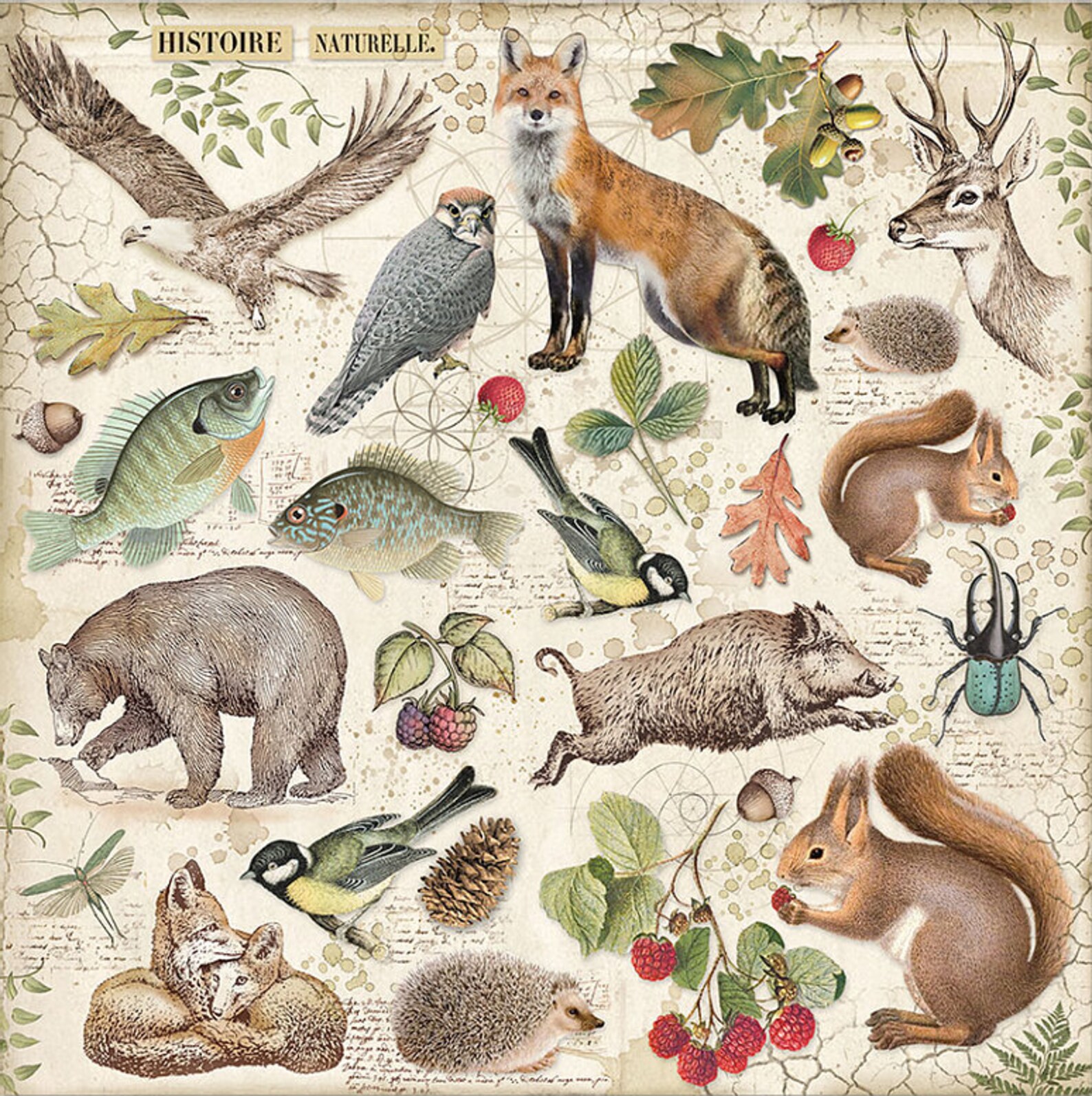 Stamperia Forest Scrapbook Paper Pad 12x12 Cardstock - Etsy