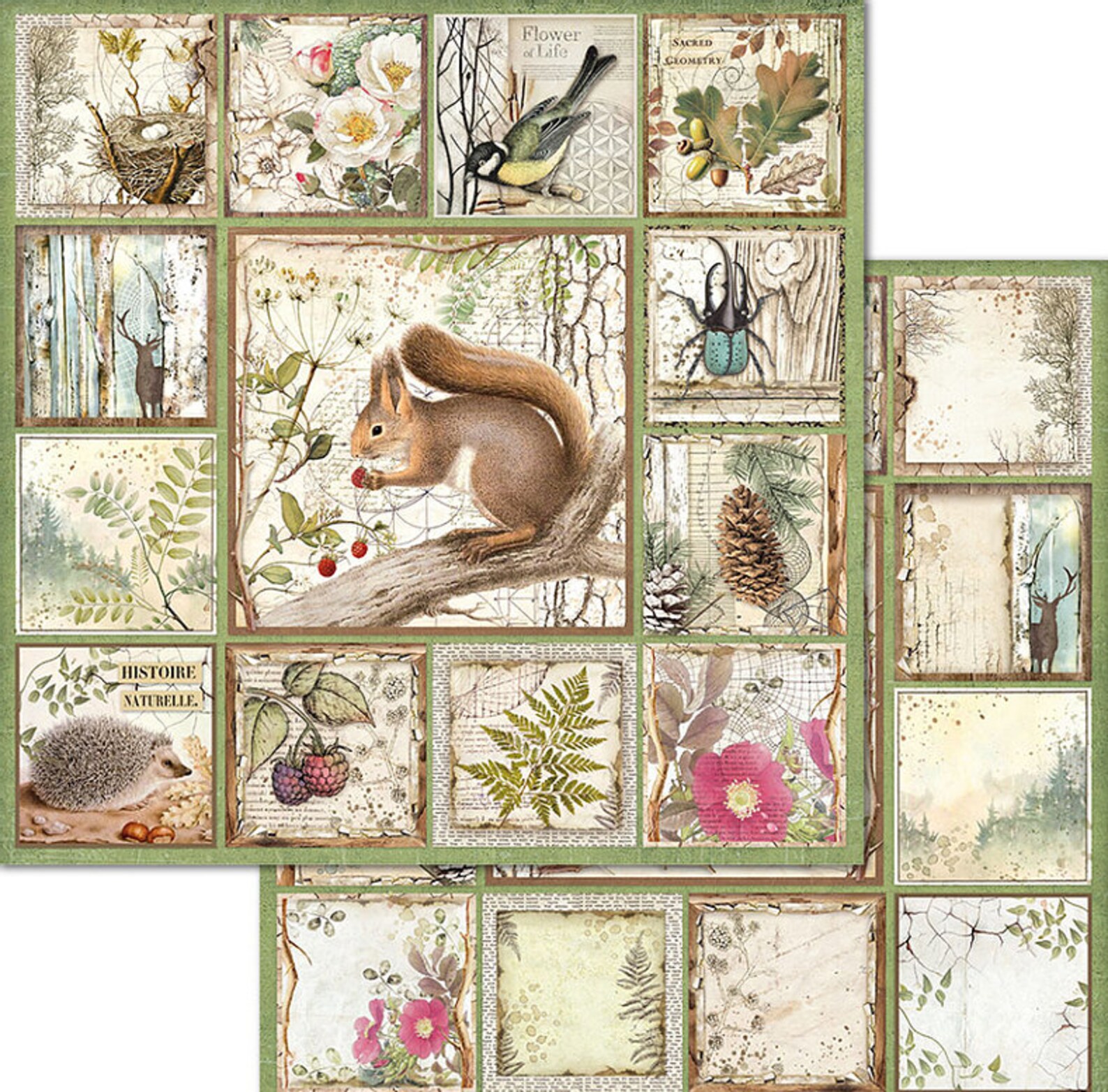 Stamperia Forest Scrapbook Paper Pad 12x12 - Cardstock - Etsy