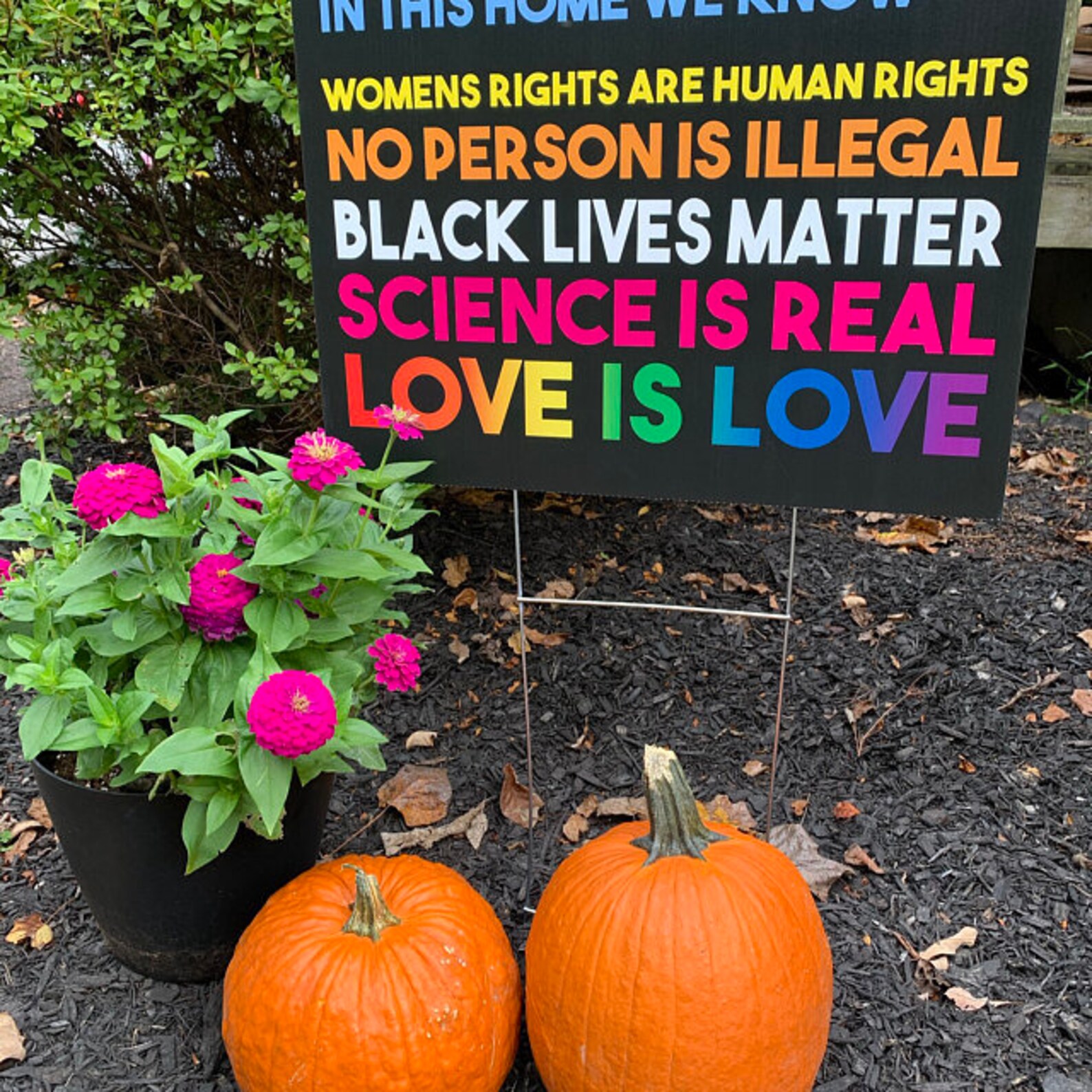 5 PACK: Love is Love Yard SIGN- Black Lives Matter, LGBTQ, Women’s ...