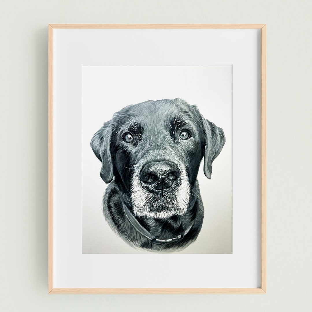 Commission Pet Drawing, 100% Hand Drawing, Custom Pet Sketch, Pet ...