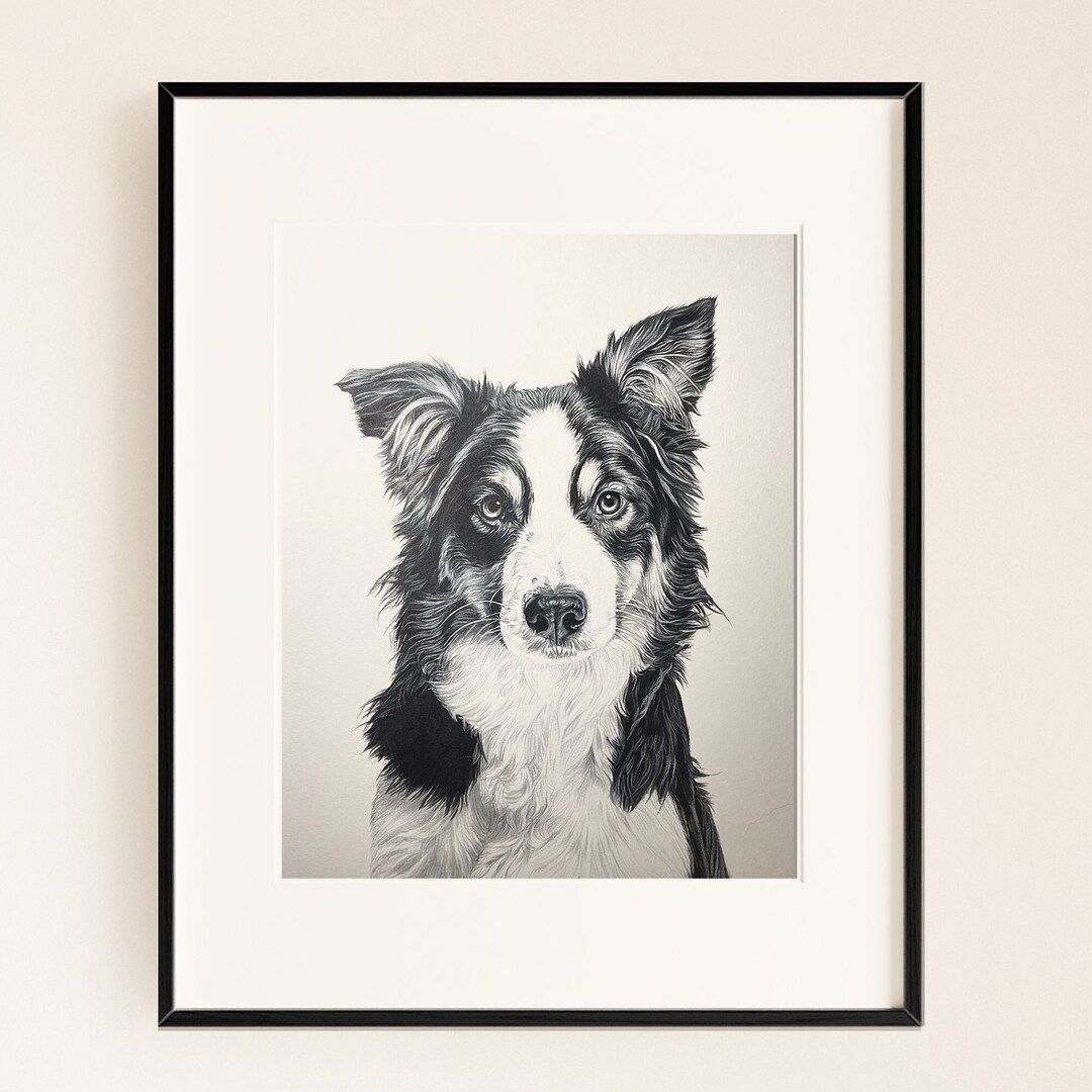 20x26 Large Size Hand Drawing Pet Portrait Sketch I Dog Drawing I ...