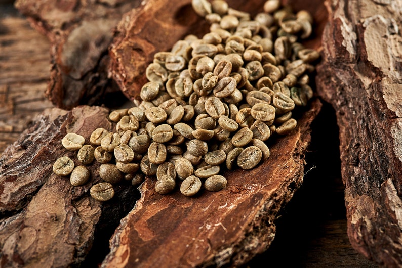 Himalayan Arabica Coffee - Etsy