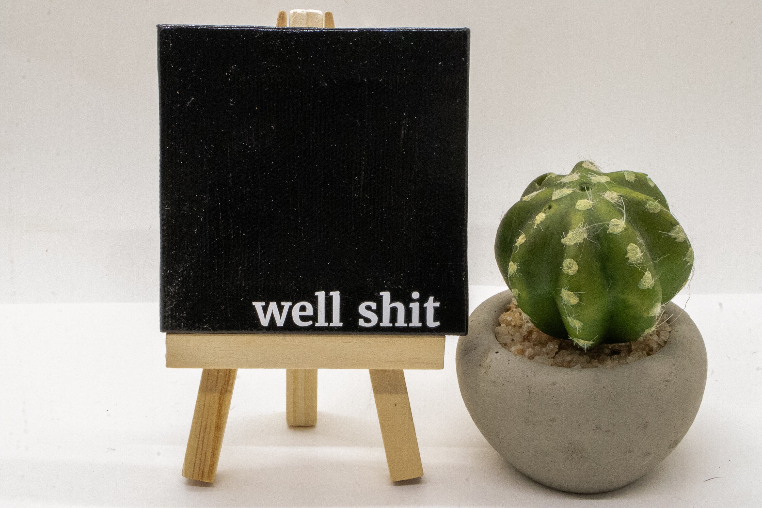 Small 3x3 Funny Quote well Shit Black Canvas With Wooden Easel ...