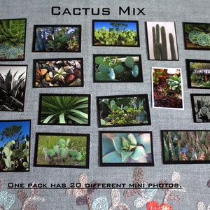 Mini Color Photos, Miniature Photo Prints, Mini Collage Photos, Mini ...