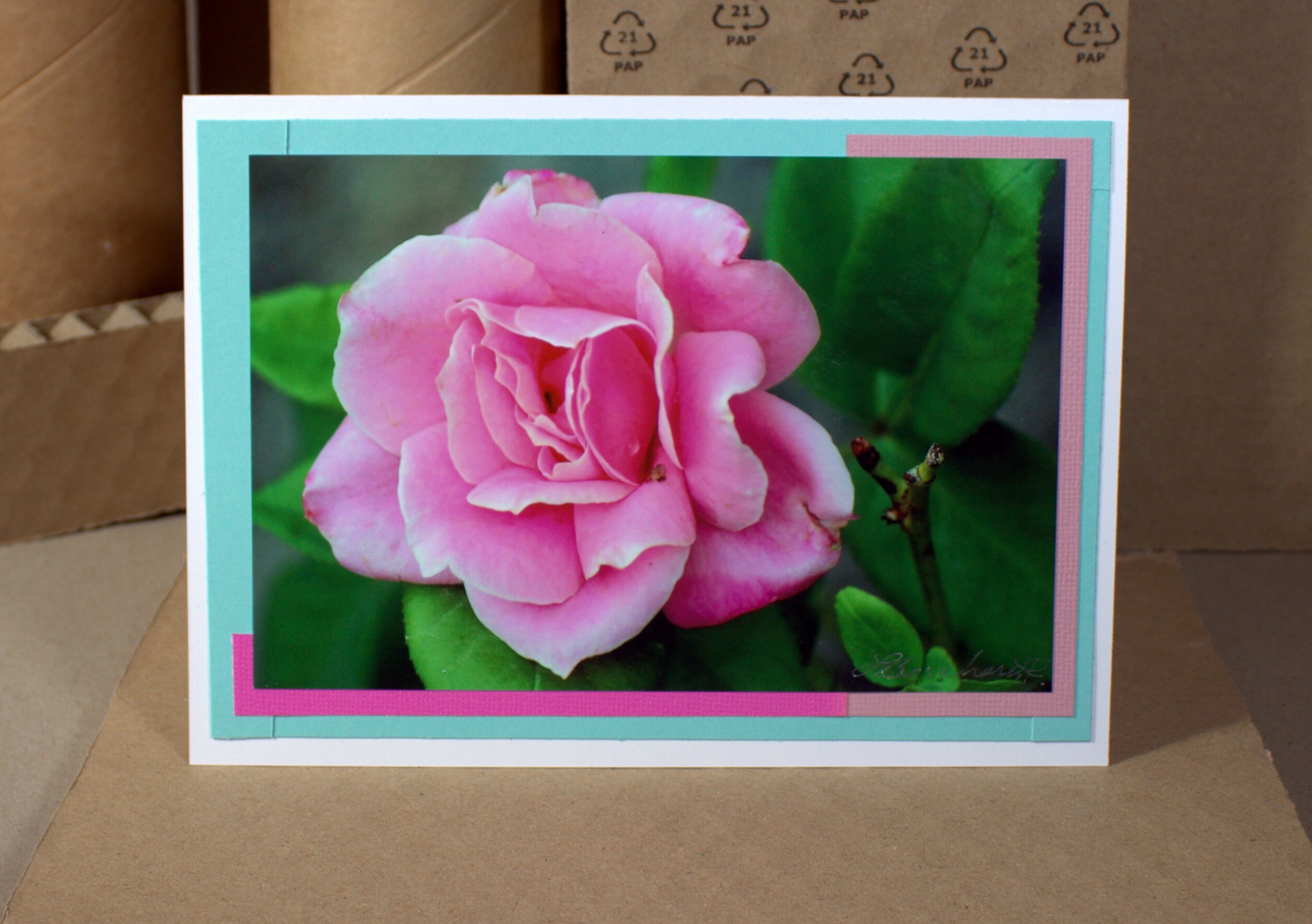 Pink Rose Flower Photo Card, Blooming Rose Note Card, Botanical Art ...